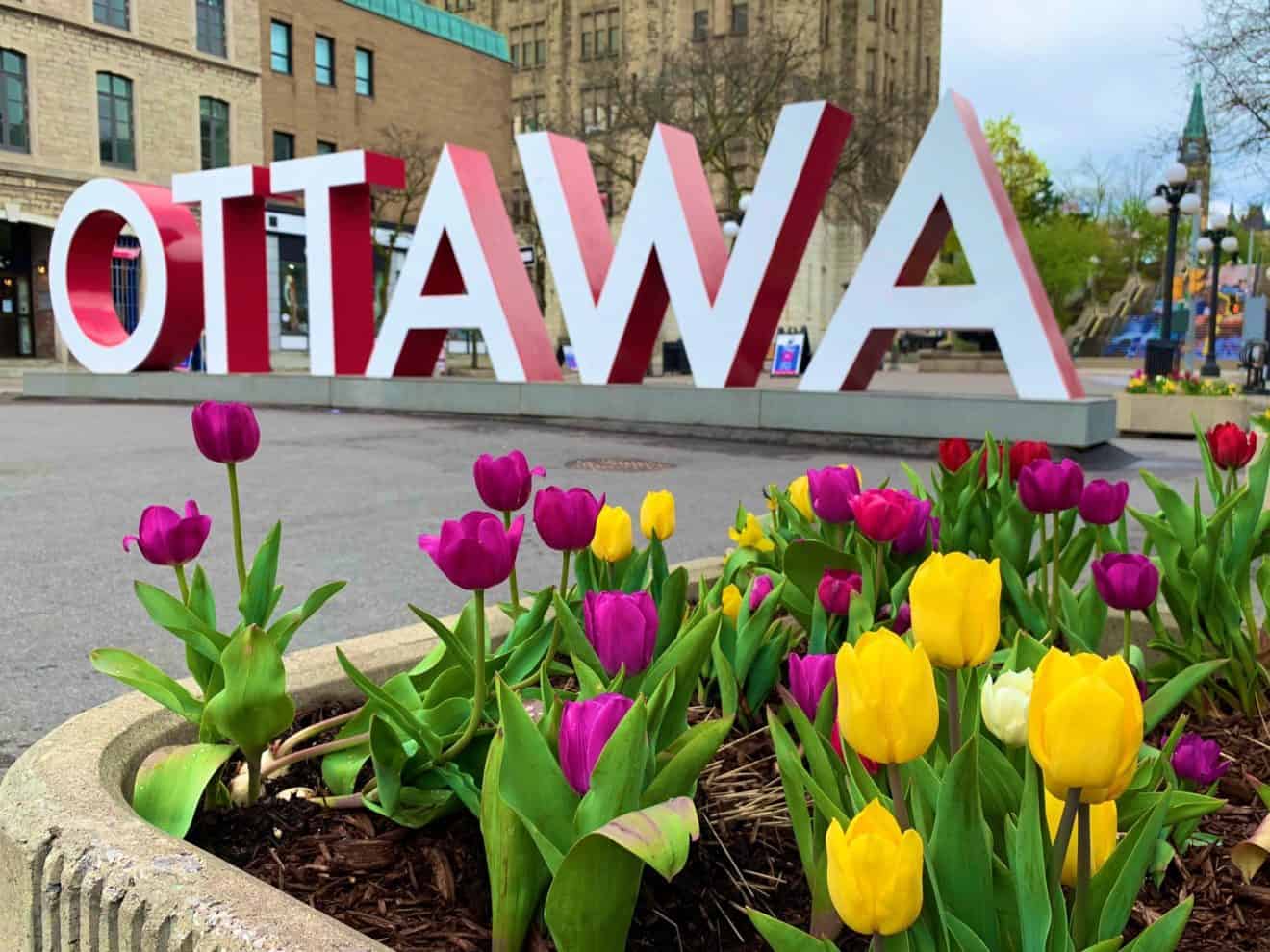 Guide to the Canadian Tulip Festival in Ottawa • Tapped Out Travellers