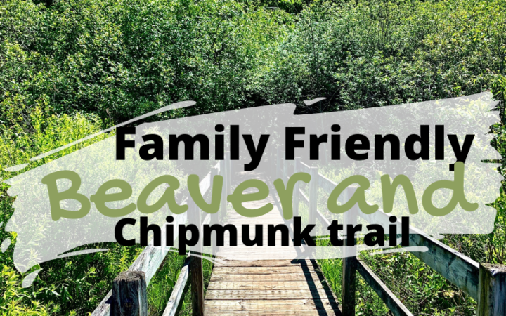 Ottawa's Beaver and Chipmunk Trails • Tapped Out Travellers