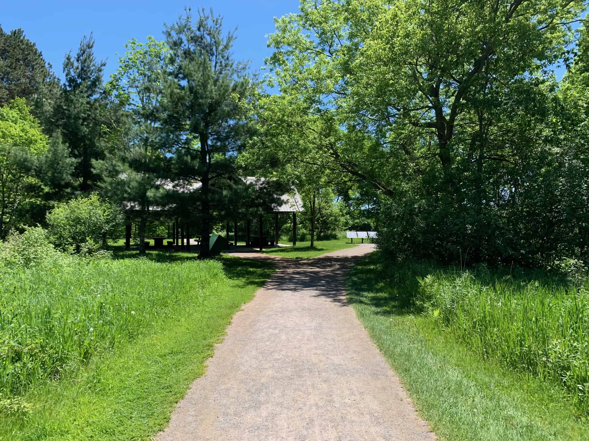 Mer Bleue Bog trail • Tapped Out Travellers