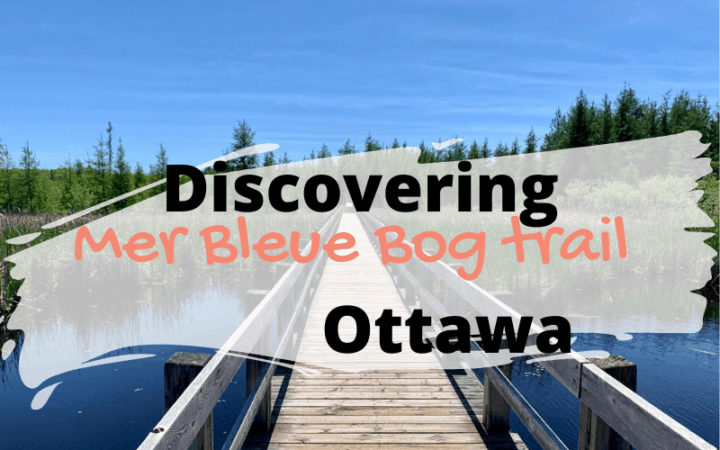 Mer Bleue Bog trail • Tapped Out Travellers