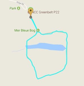Mer Bleue Bog trail • Tapped Out Travellers