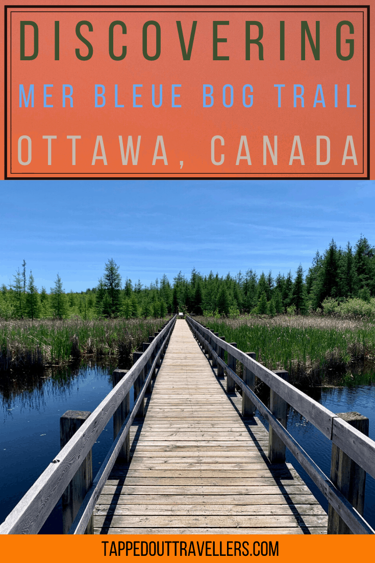 Mer Bleue Bog trail • Tapped Out Travellers