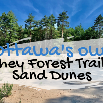 Top Picks for Visiting Montreal with Kids • Tapped Out Travellers