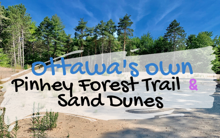 Pinhey Forest Trail Sand Dunes • Tapped Out Travellers